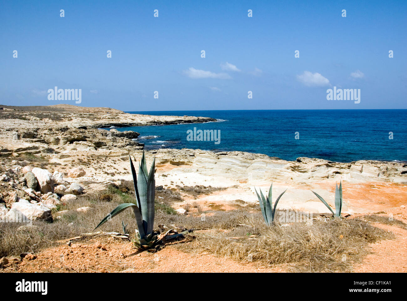 Karpas cyprus hi-res stock photography and images - Alamy