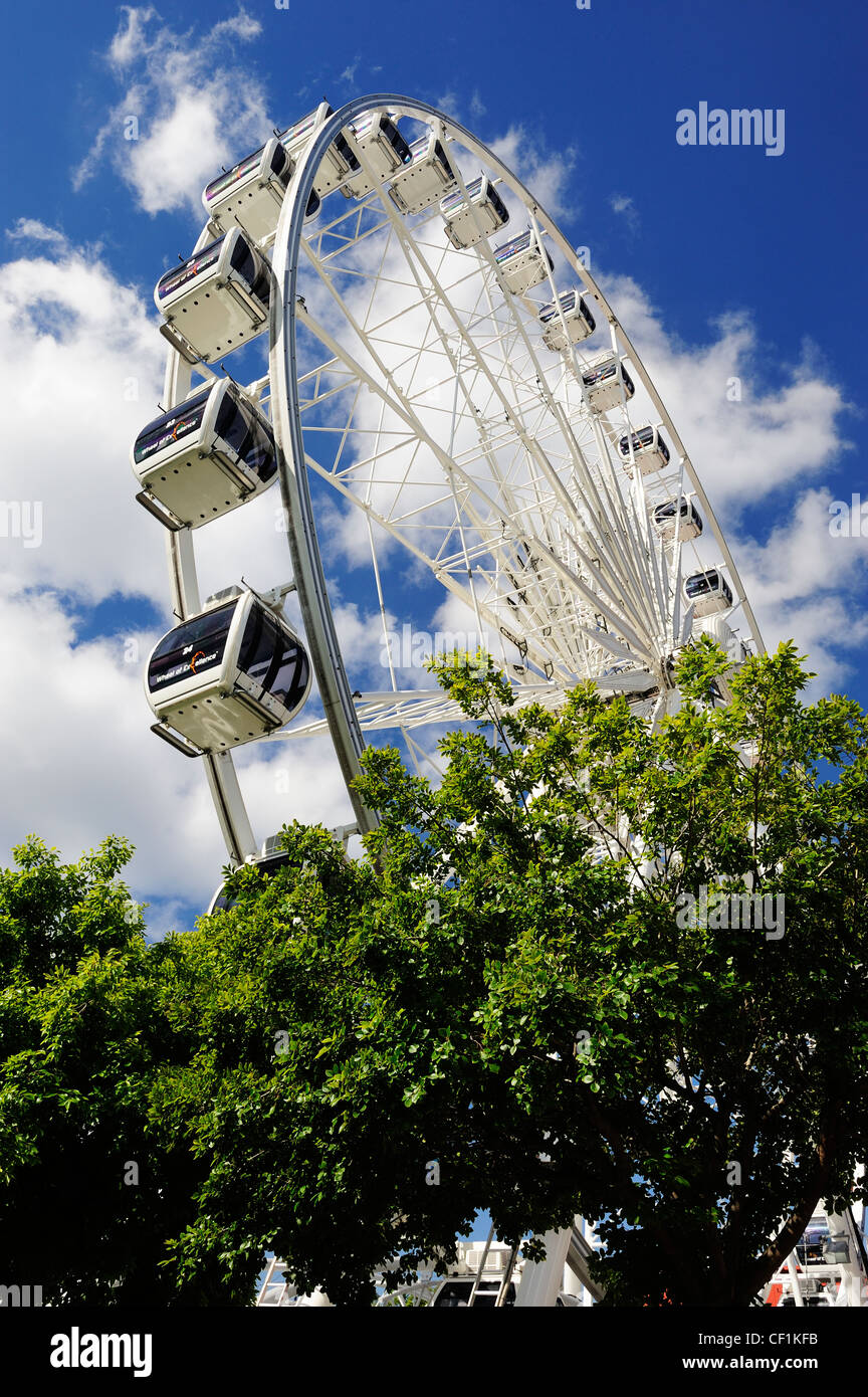 Wheel of Excellence on Victoria & Alfred Waterfront complex, Cape Town ...