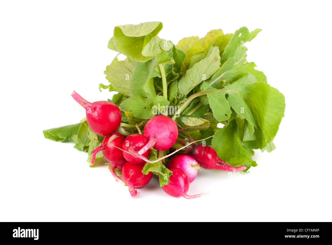 Fresh radishes isolated on white background Stock Photo - Alamy