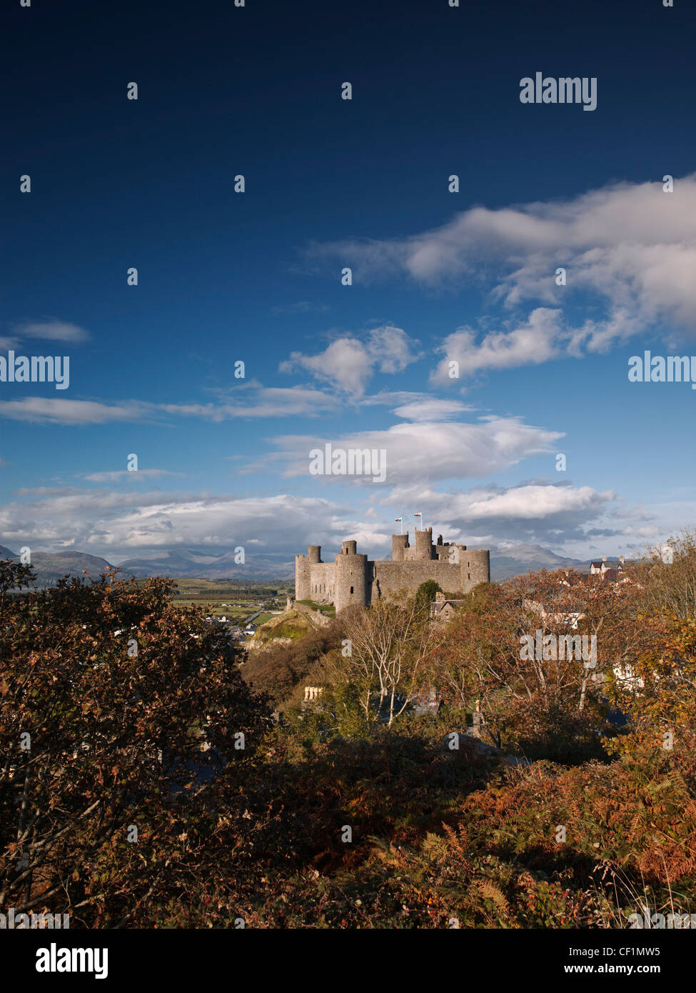 Castle turret and welsh flag hi-res stock photography and images - Alamy