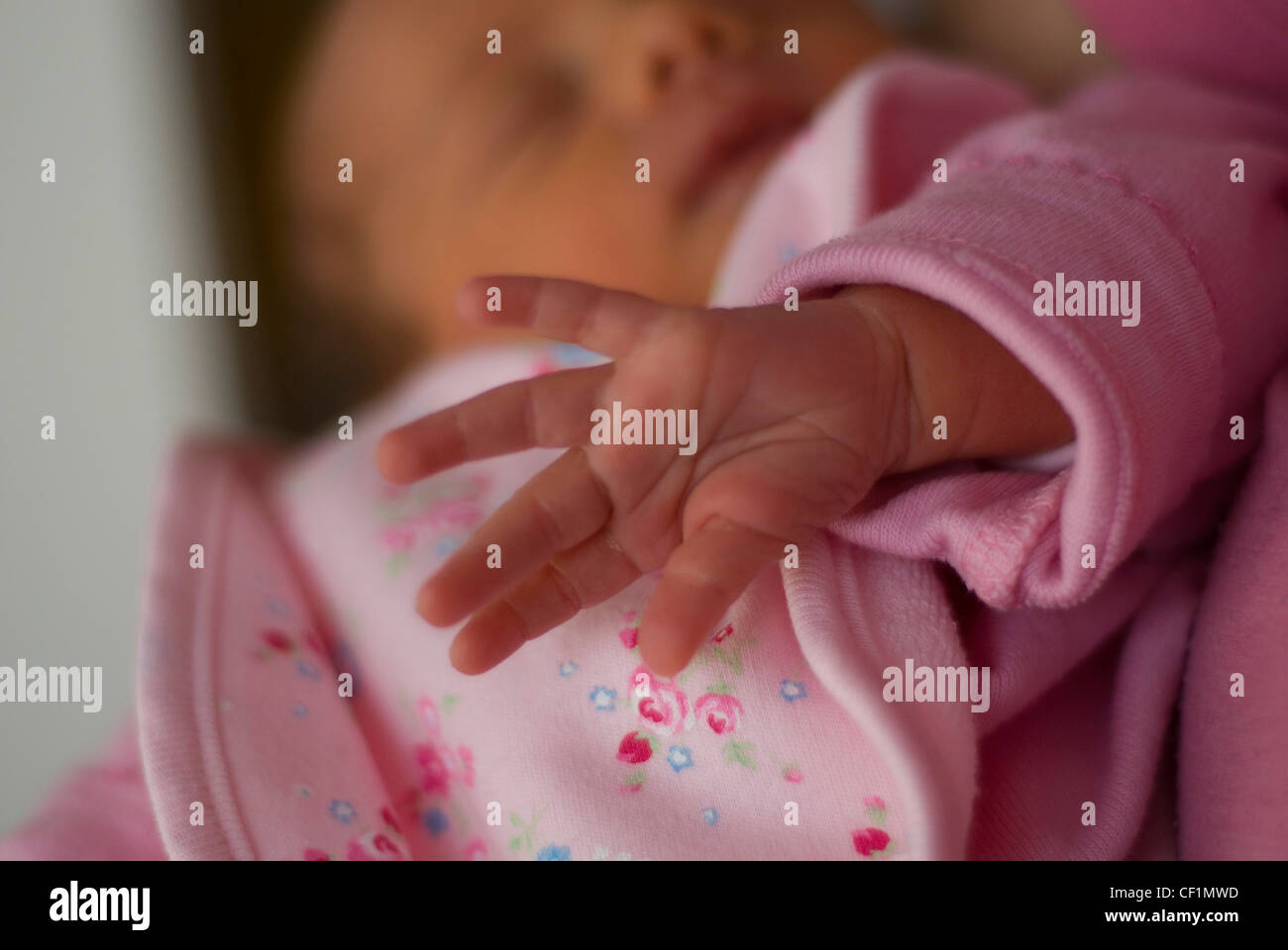 A close up of a newborn Female baby's hand Stock Photo - Alamy