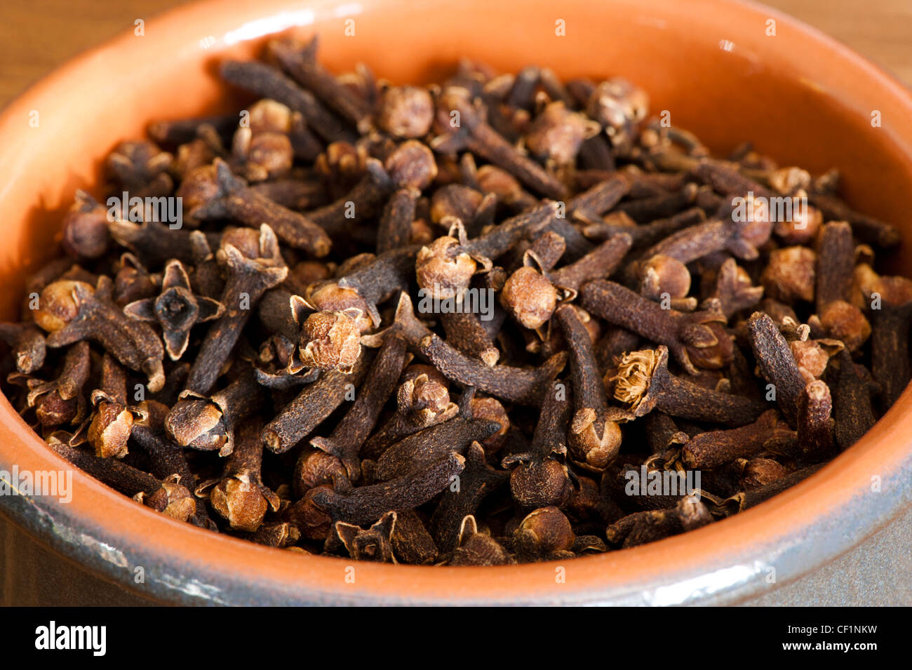 Cloves, Syzygium aromaticum Stock Photo - Alamy