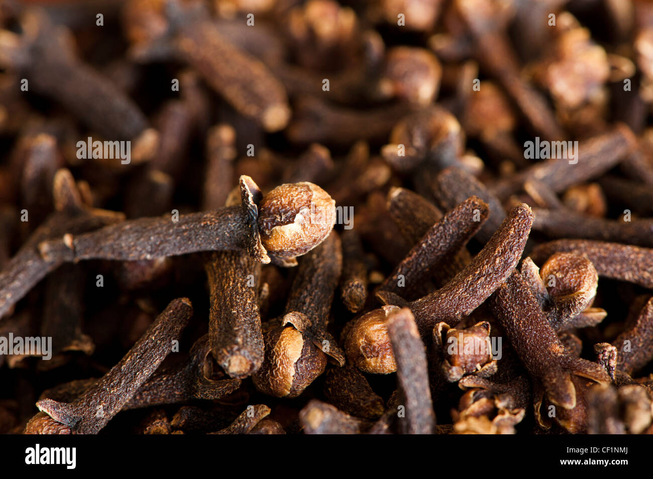 Cloves, Syzygium aromaticum Stock Photo - Alamy