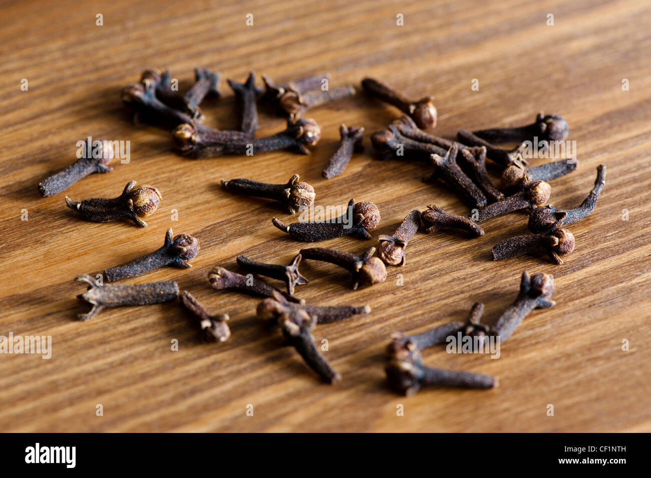 Cloves, Syzygium aromaticum Stock Photo - Alamy