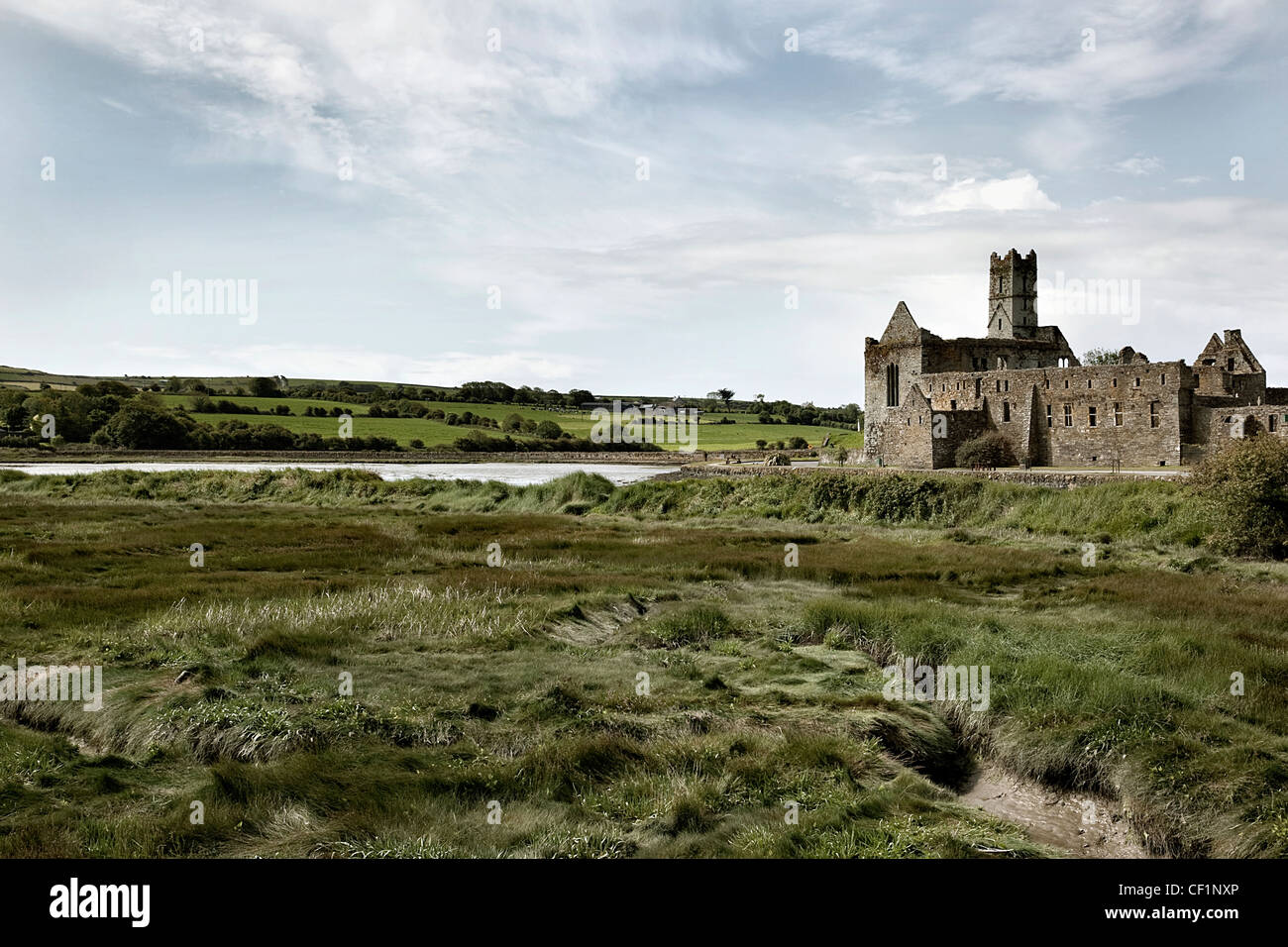 Timoleague Abbey West Cork Coastal Route Ireland Stock Photo - Alamy