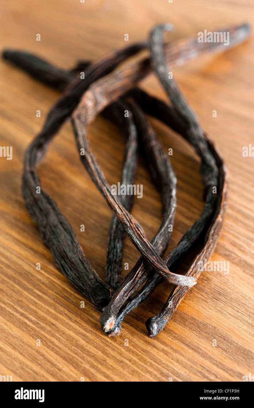 Vanilla Pods from Vanilla planifolia Stock Photo - Alamy