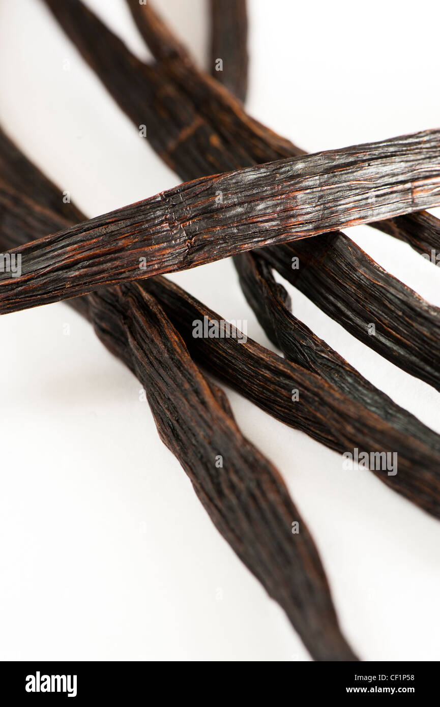 Vanilla Pods from Vanilla planifolia Stock Photo - Alamy