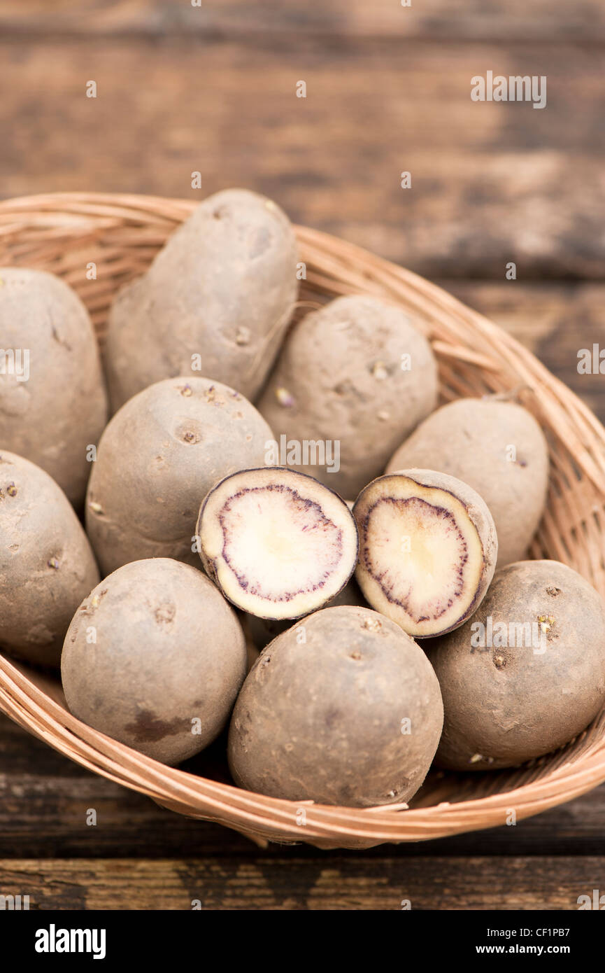 Seed potato shetland black hi-res stock photography and images - Alamy
