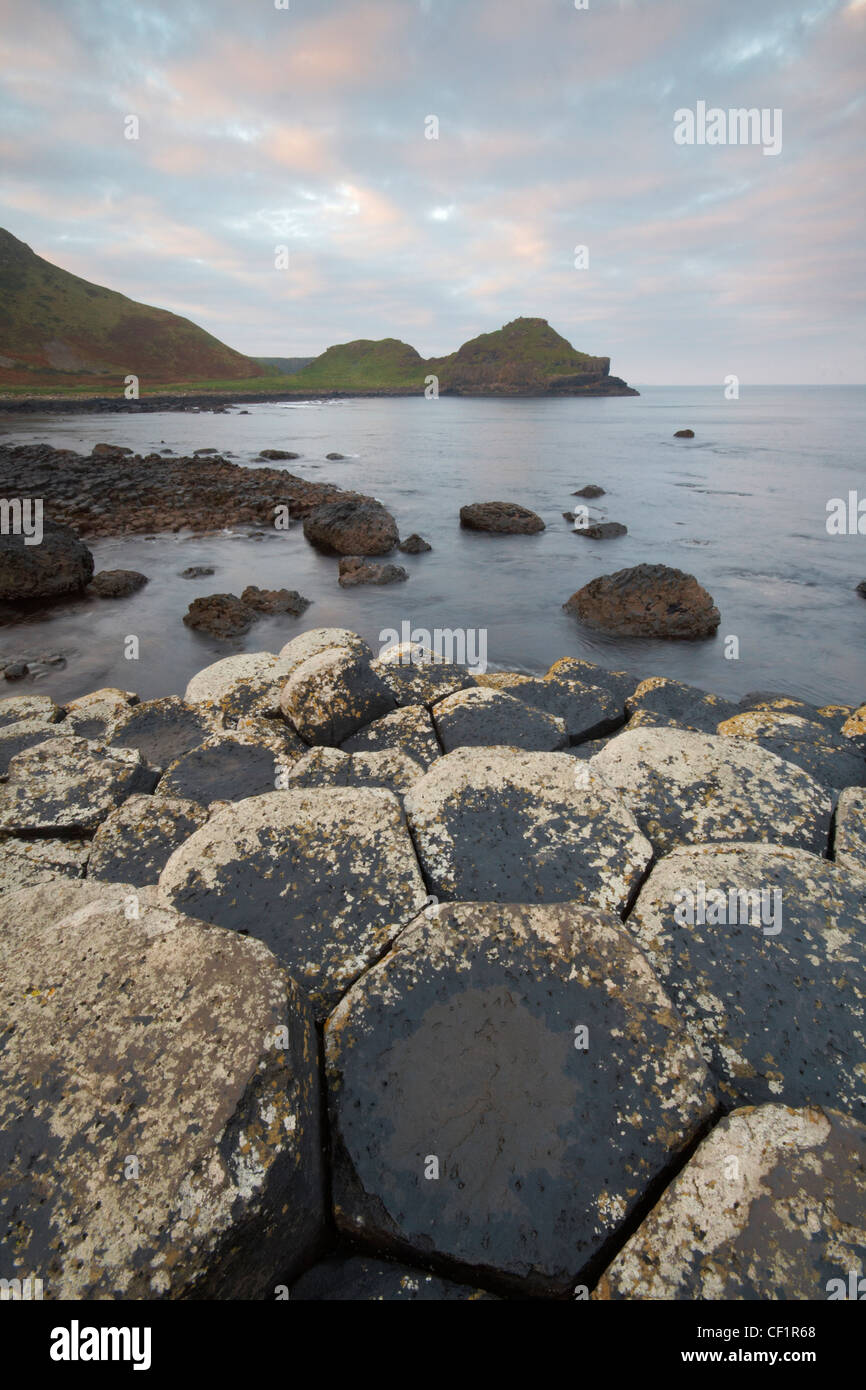 Interlocking basalt columns of the Giants Causeway, named as the fourth ...