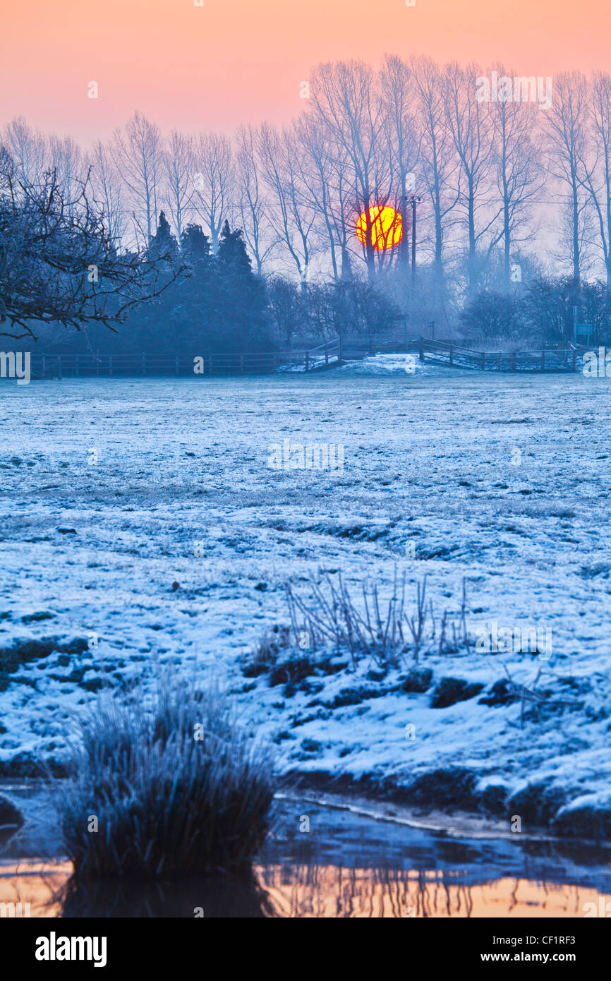Sun rising behind line of trees on frosty Cotswold winter morning on ...