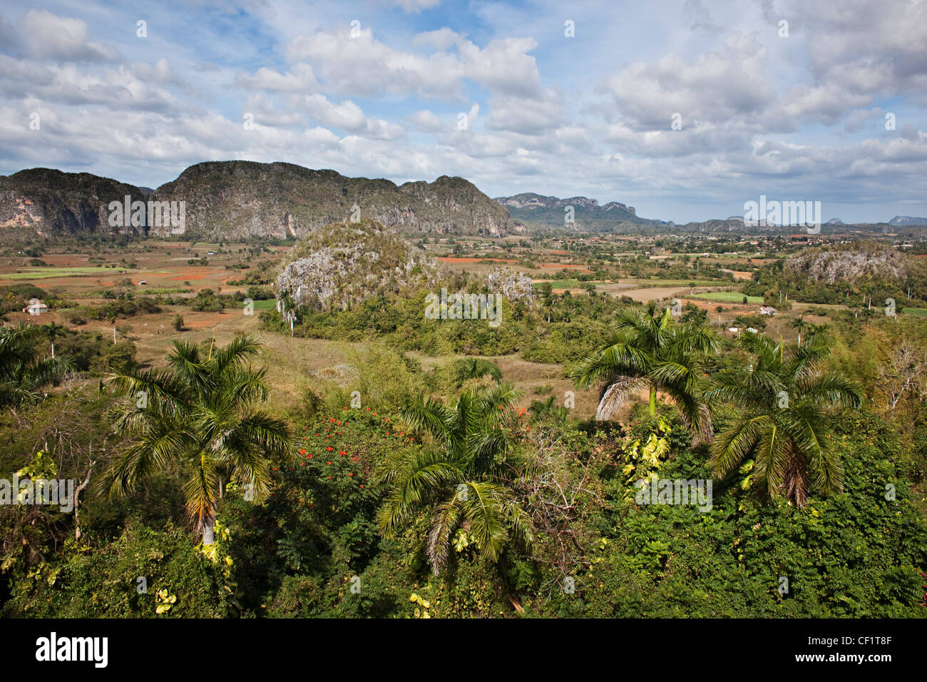 View of the landscape in Cuba Stock Photo - Alamy