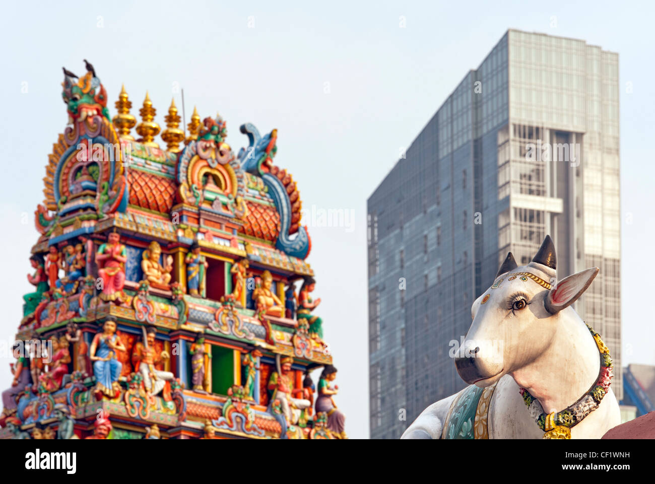 Sacred cow in front of hindu temple and modern skyscraper Stock Photo ...
