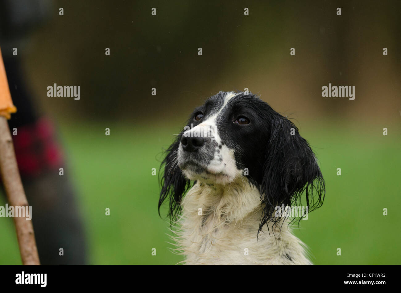 Awaiting instruction hi-res stock photography and images - Alamy