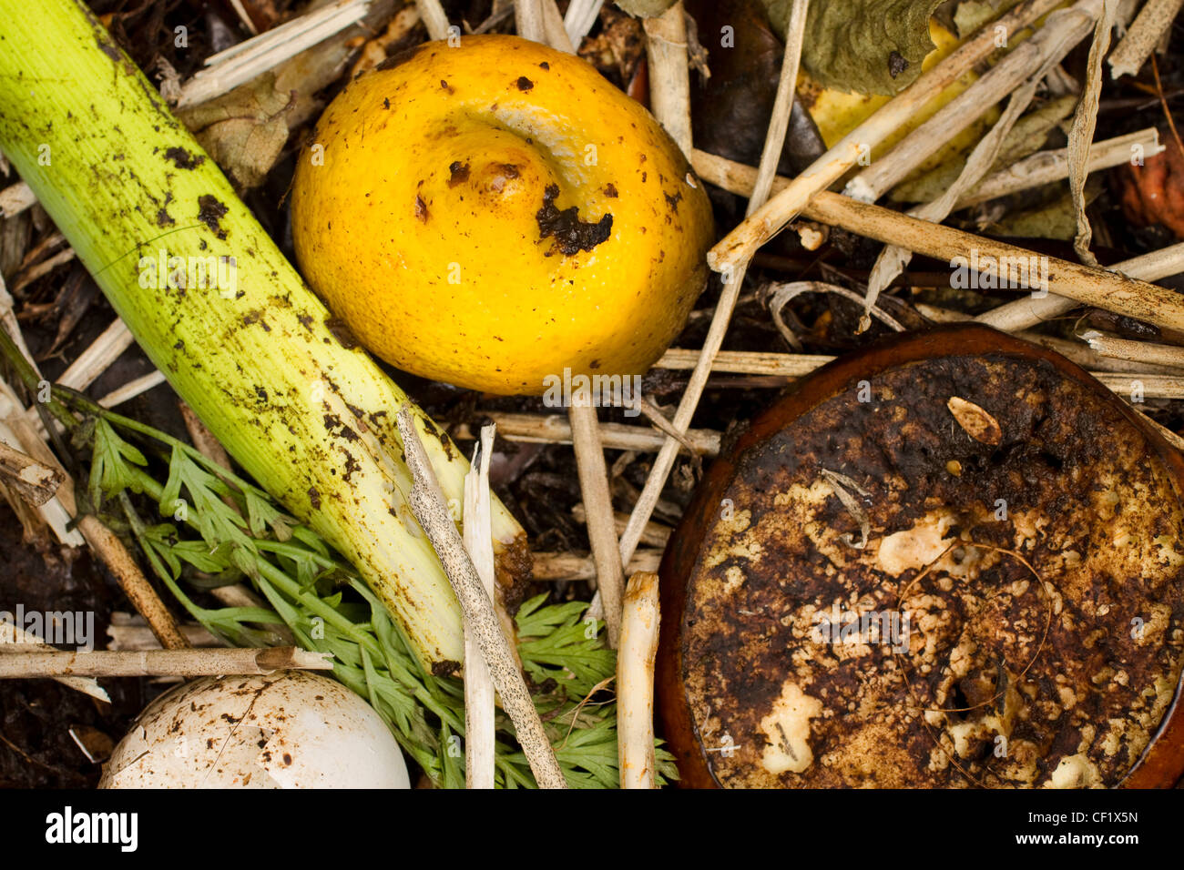 Close-up Of Rotting Vegetable Material In A Compost Pile Stock Photo ...