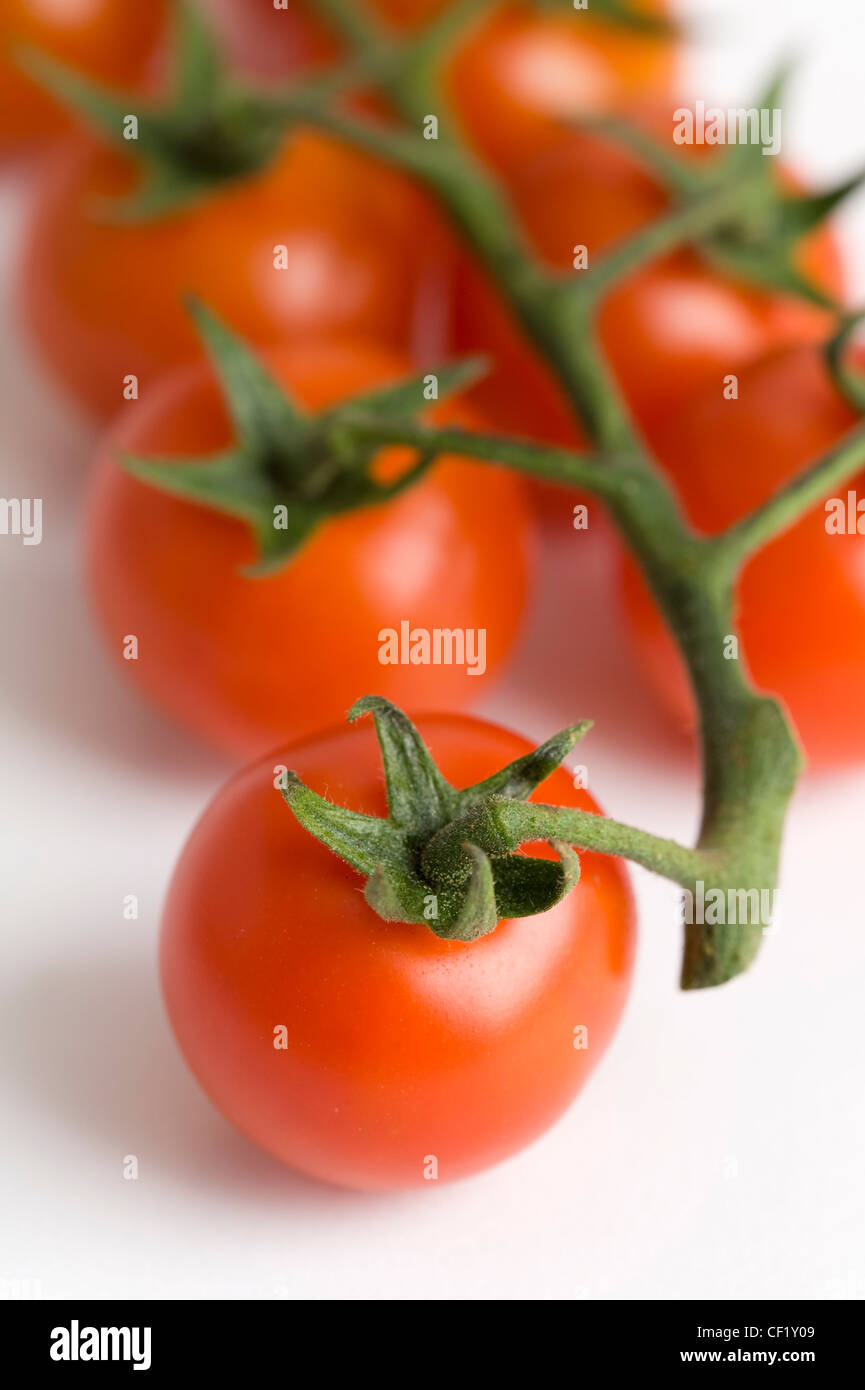 ripe vine cherry tomatoes studio shot Stock Photo - Alamy