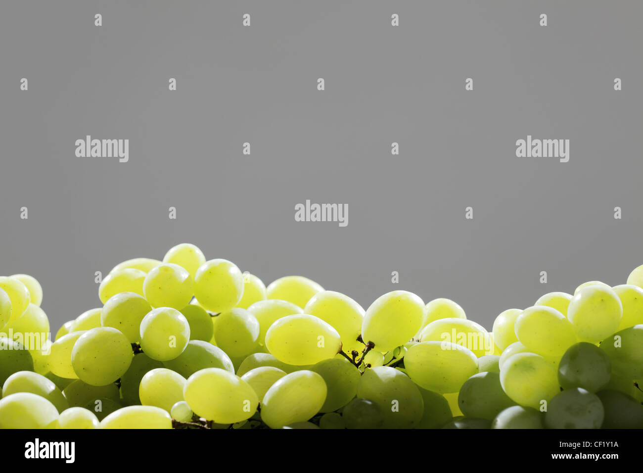 fresh green grapes backlighted against gray background Stock Photo - Alamy