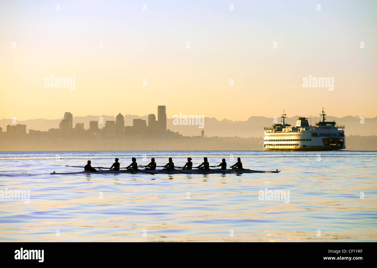 Team rowing boat in bay Stock Photo - Alamy