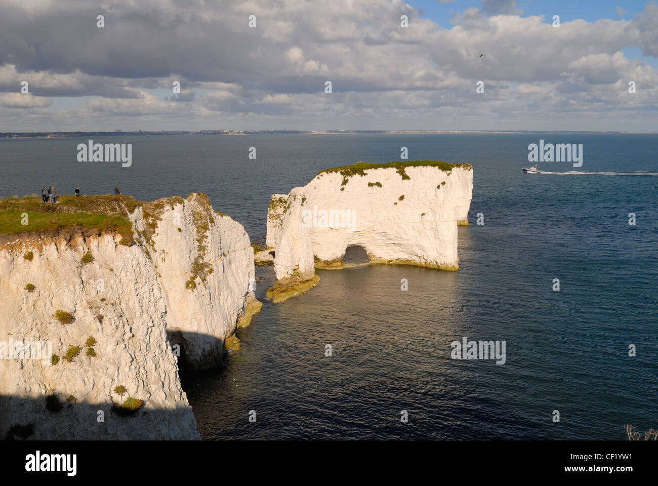 Chalk stacks known as Old Harry Rocks at the end of the Jurassic Coast ...