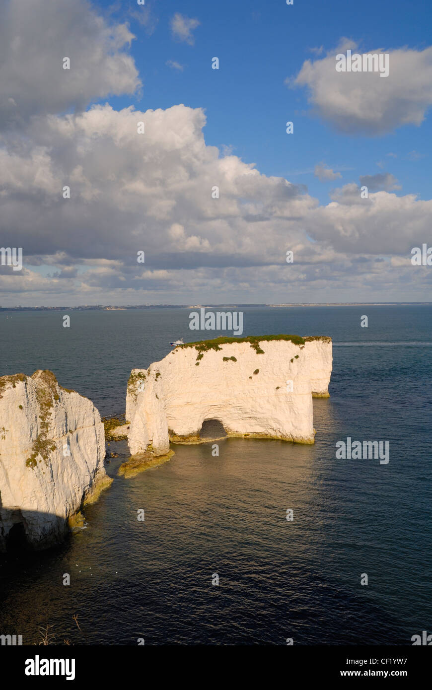 Chalk stacks known as Old Harry Rocks at the end of the Jurassic Coast ...