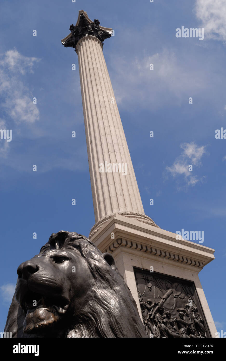 Nelson's Column and lion statue. Nelson's column was constructed in ...