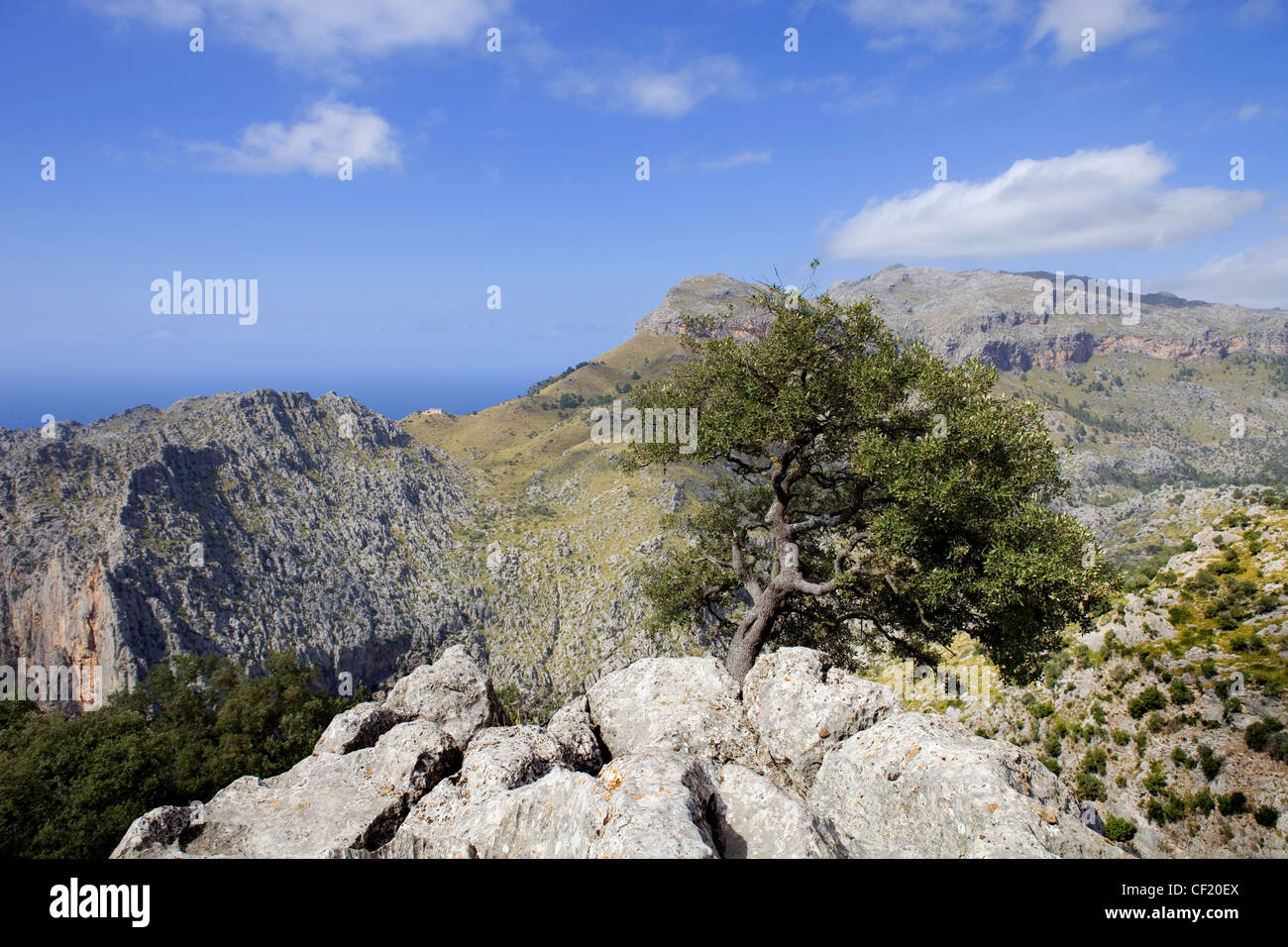 Mallorca mountain view in the north of the island, Spain Stock Photo ...