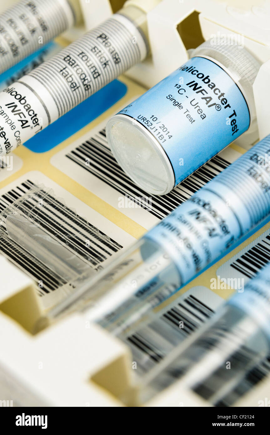 Campylobacter High Resolution Stock Photography and Images - Alamy