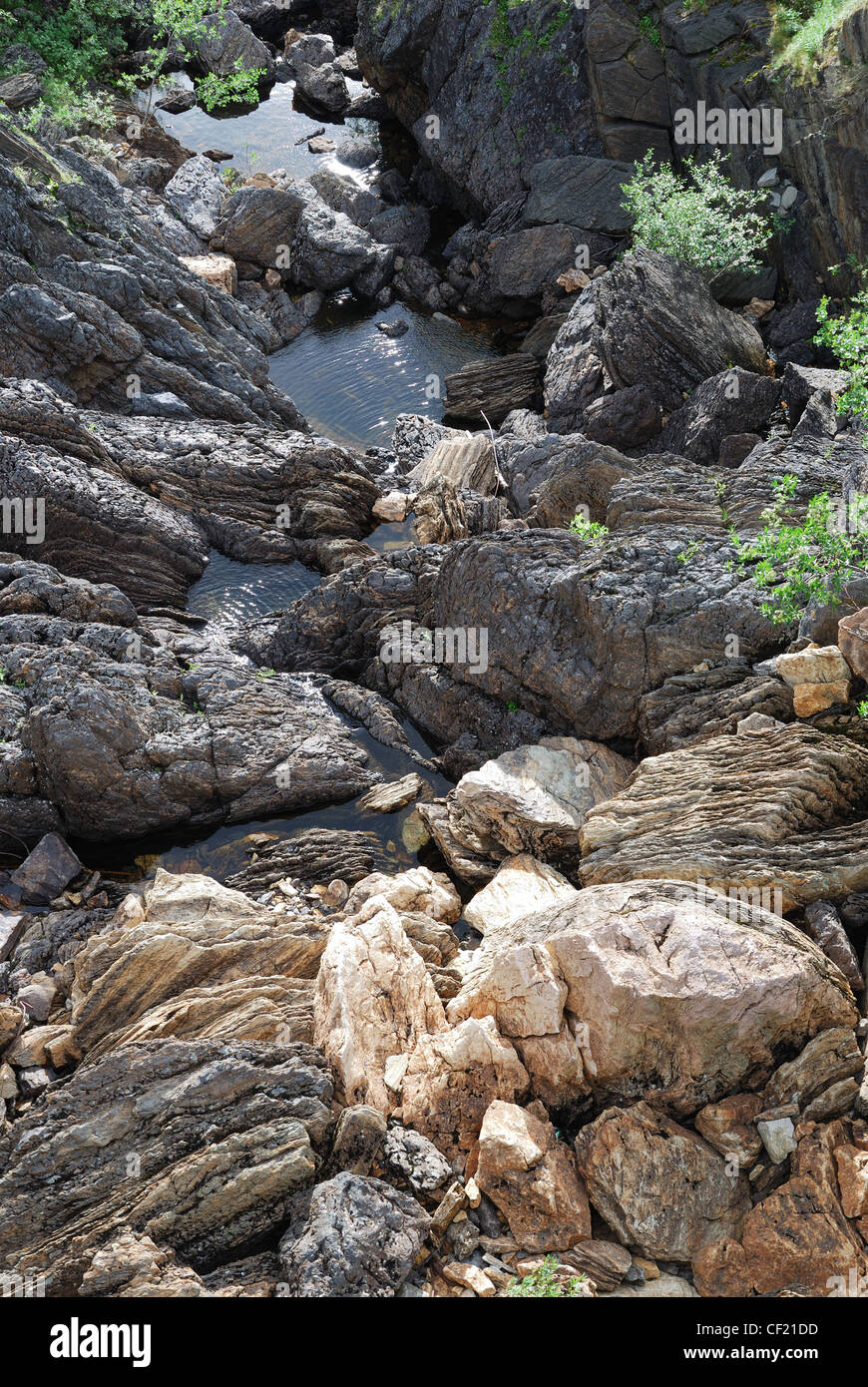 Clear puddle hi-res stock photography and images - Alamy