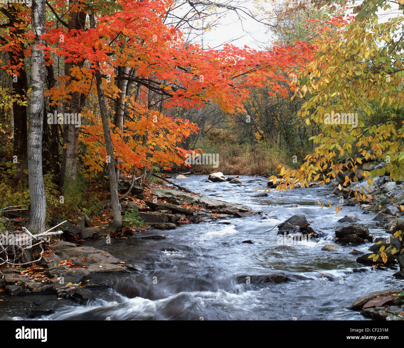 Sheffield vermont hi-res stock photography and images - Alamy