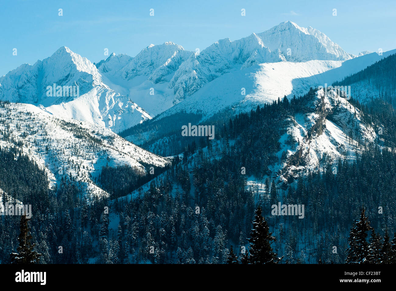 Tatra mountains in the winter hi-res stock photography and images - Alamy