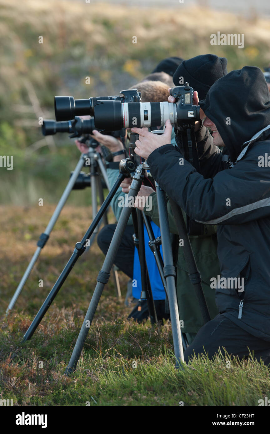 Row of people with cameras hi-res stock photography and images - Alamy