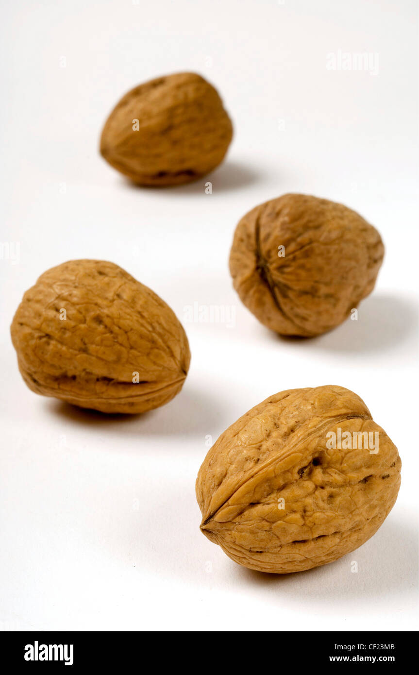 Close up of four whole walnuts in their shells on a white surface Stock ...