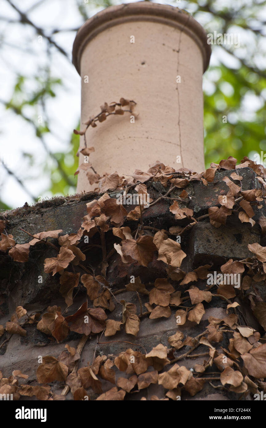 Plant pot chimney hi-res stock photography and images - Alamy
