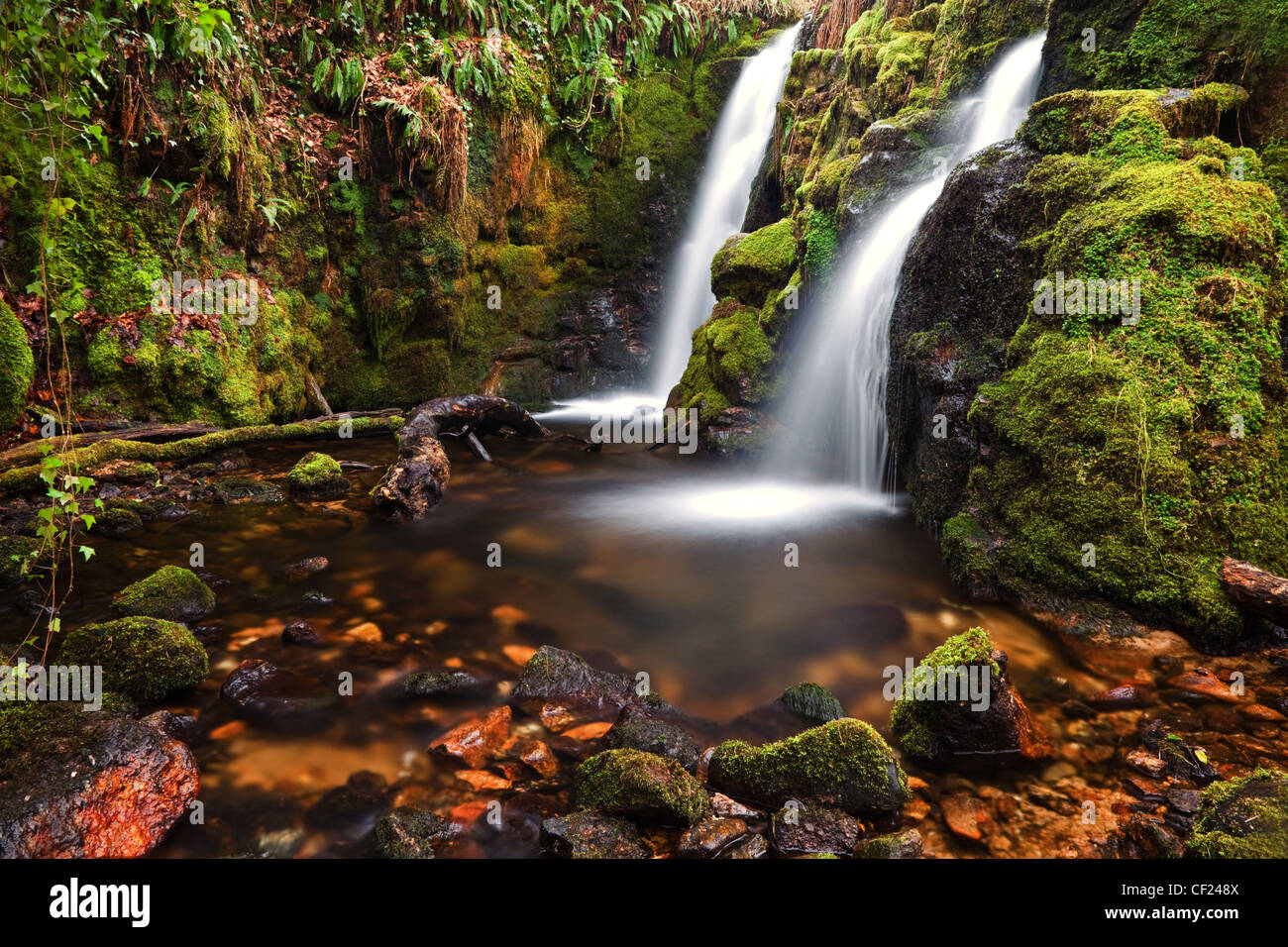 Tropical waterfalls tumbles into a small brook on Dartmoor Stock Photo ...