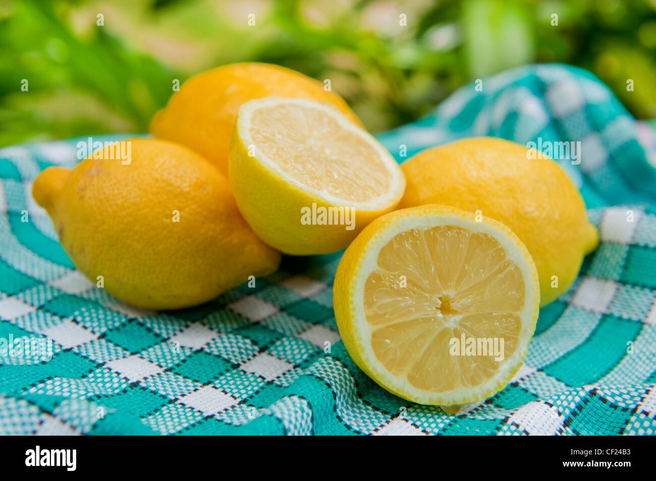 Still life with fresh lemon Stock Photo - Alamy