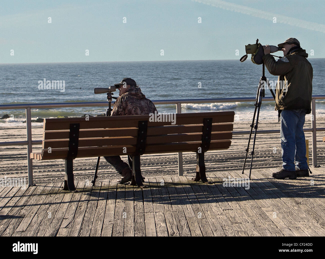 2 birdwatchers viewing birds along the seashore Stock Photo - Alamy