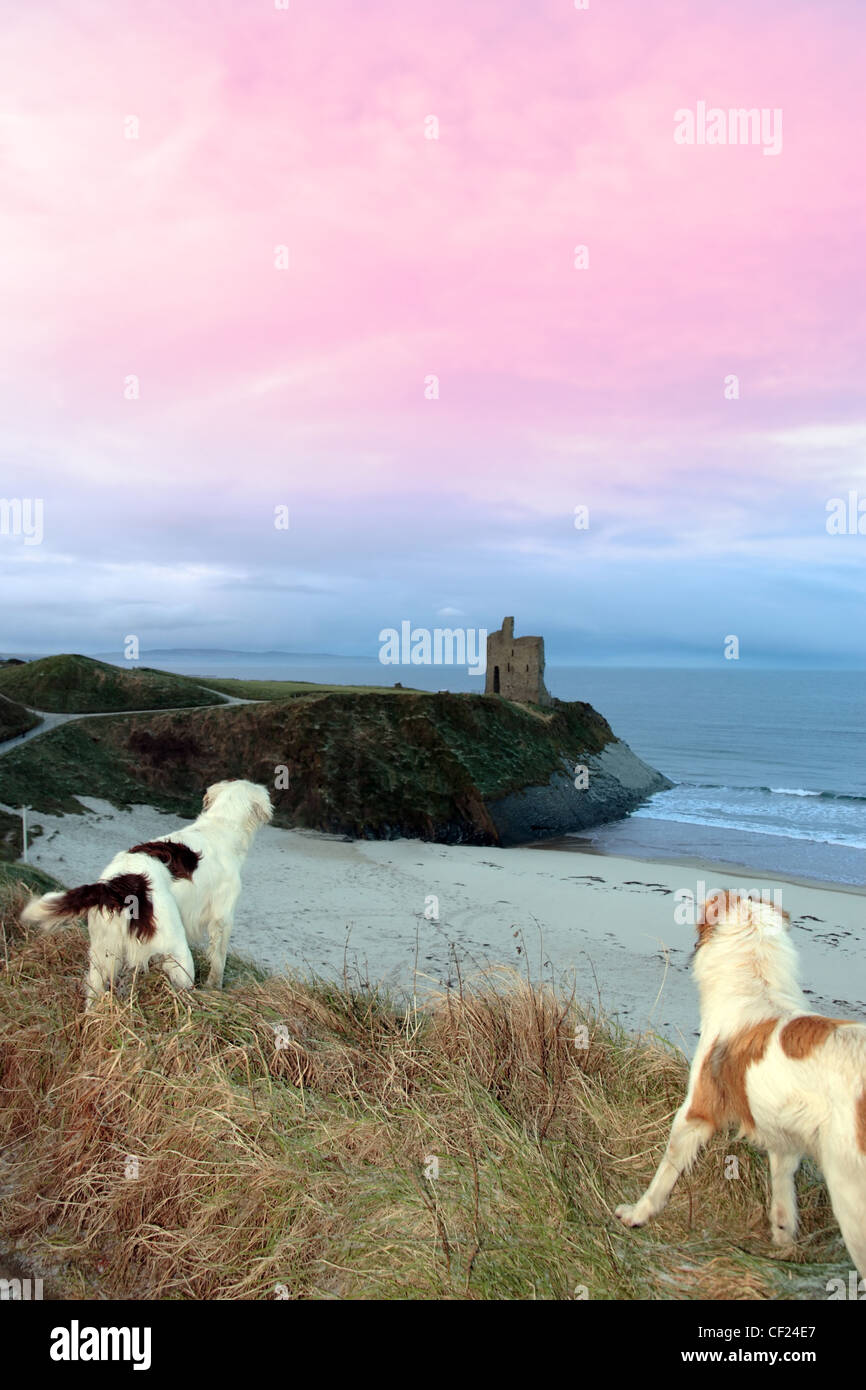 two dogs on the snowy clifftop viewing the sunset and castle in ...