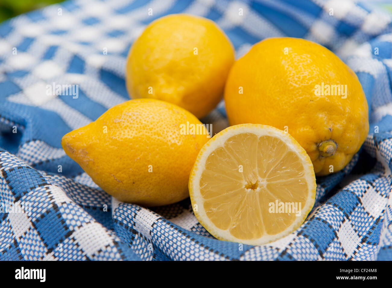 Still life with fresh lemon Stock Photo - Alamy