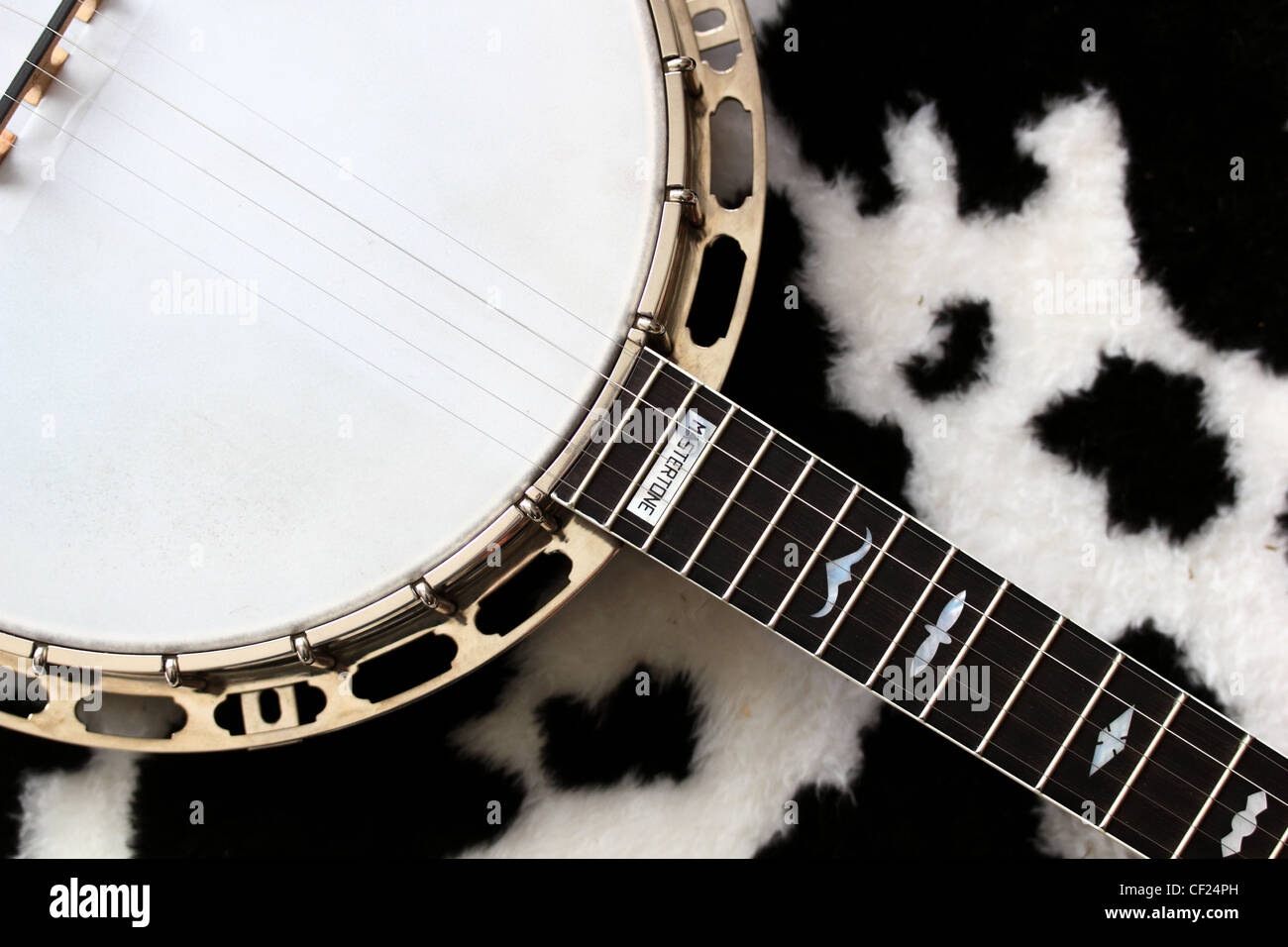 BANJO ON A BLACK AND WHITE COWHIDE SKIN HORIZONTAL BDB Stock Photo - Alamy