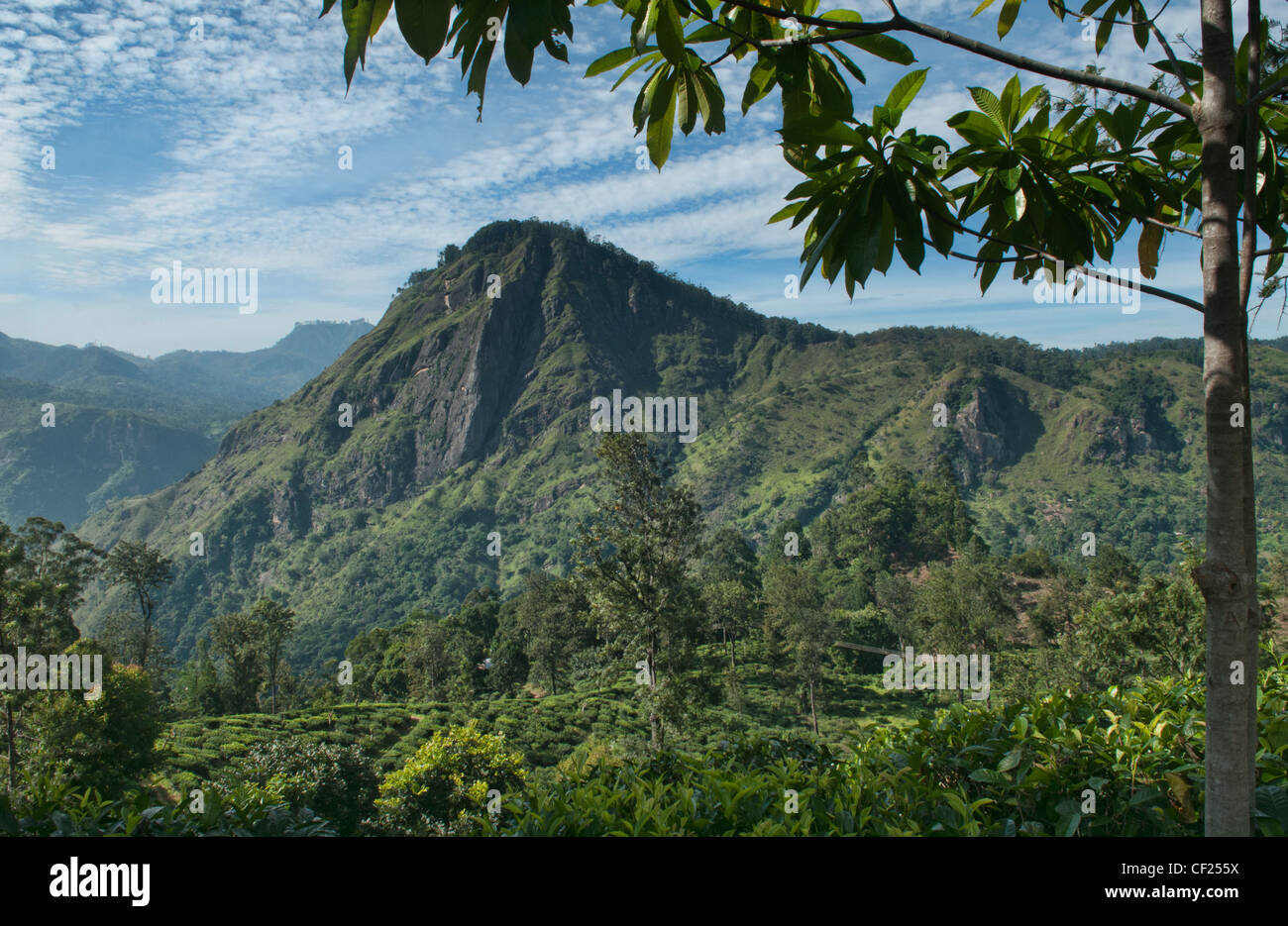 view through the beautiful Ella Gap from Little Adams Peak near Ella ...