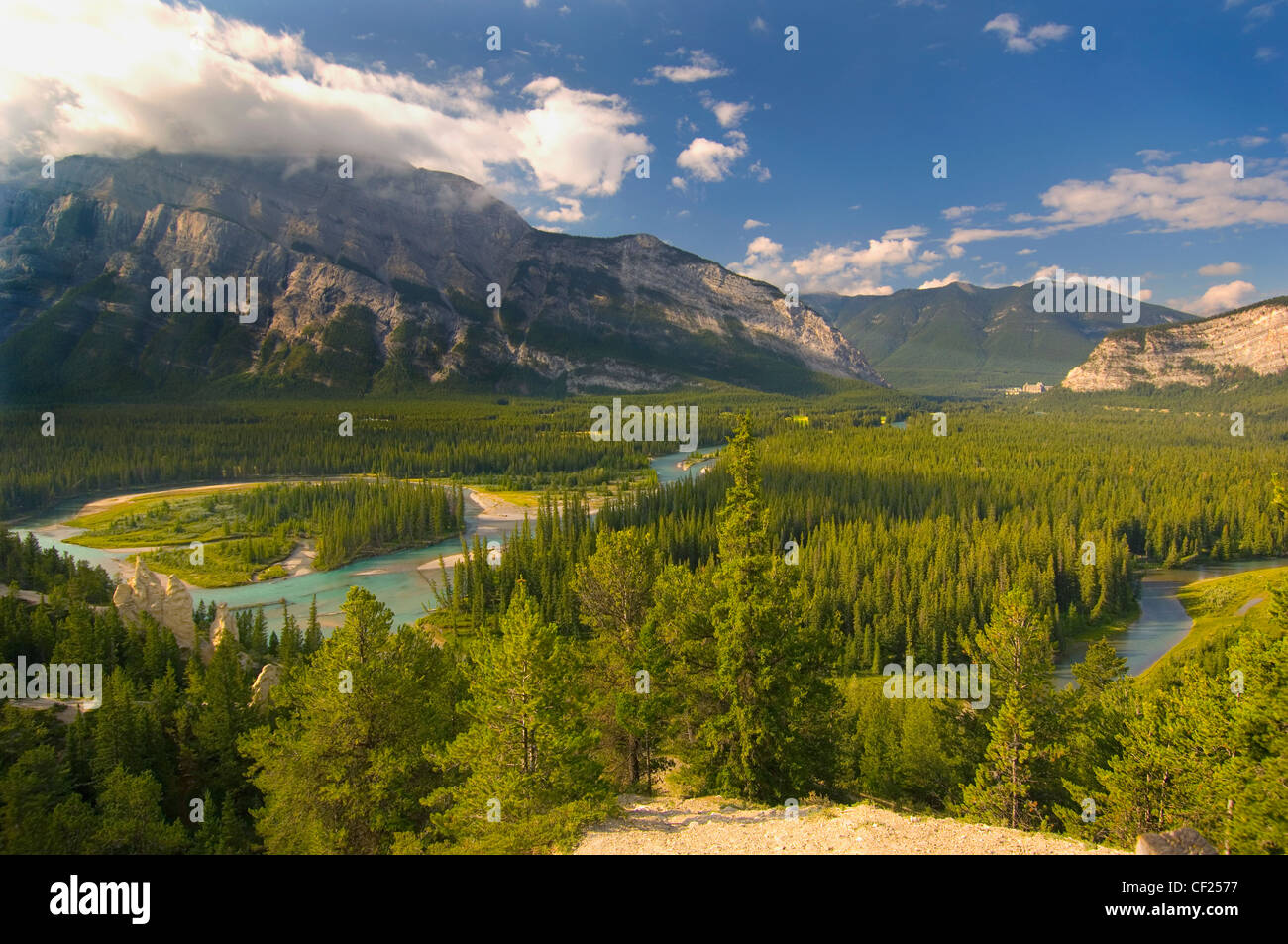 Mountains And Forest In Banff National Park; Banff Alberta Canada Stock ...