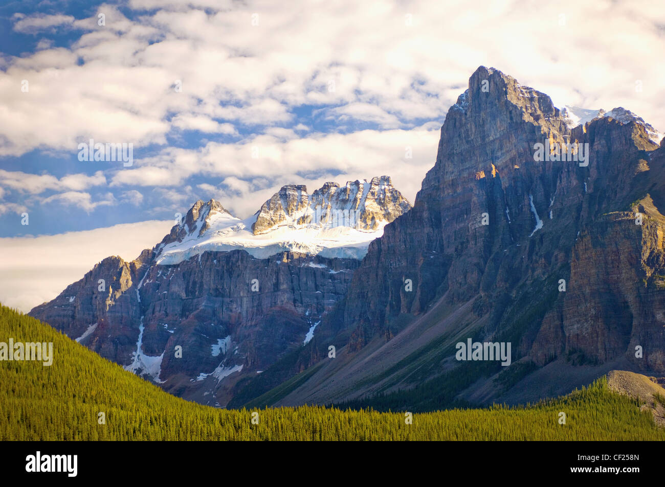 View Of Glacial Mountains And Trees In Banff National Park; Banff ...