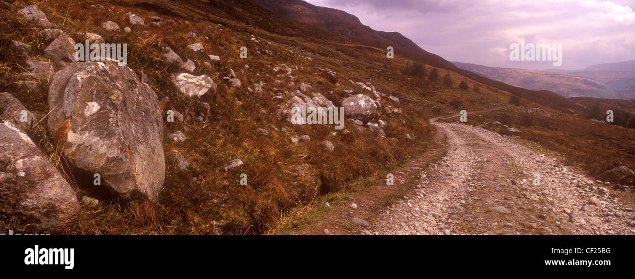 Well formed hi-res stock photography and images - Alamy