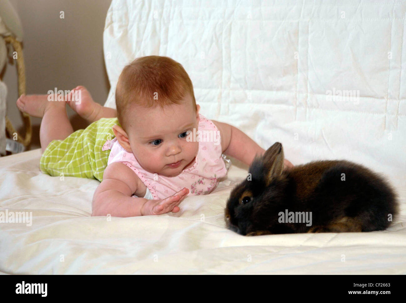 Female child lying on front on sofa looking at and reaching out to ...