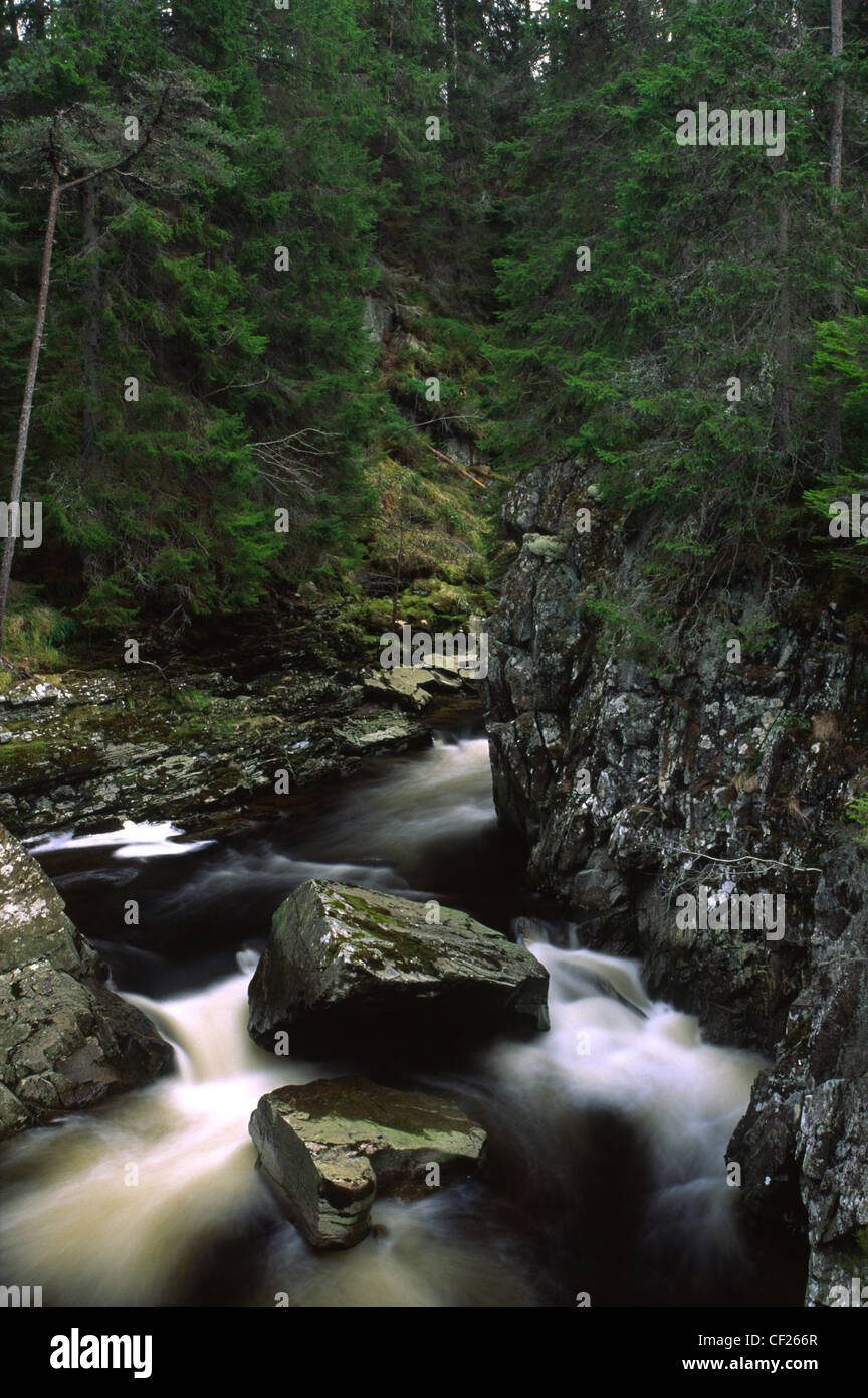 The fast flowing falls of the River Pattack and surrounding woodland ...