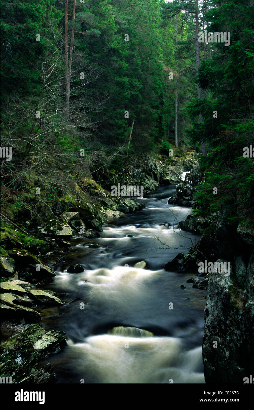 The fast flowing falls of the River Pattack and surrounding woodland ...