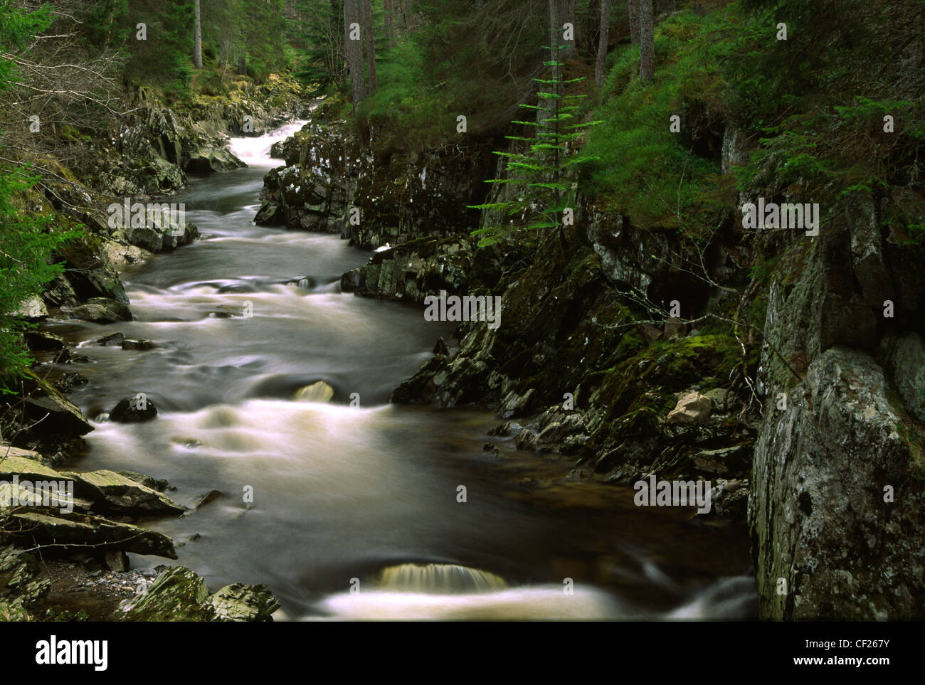 The fast flowing falls of the River Pattack and surrounding woodland ...