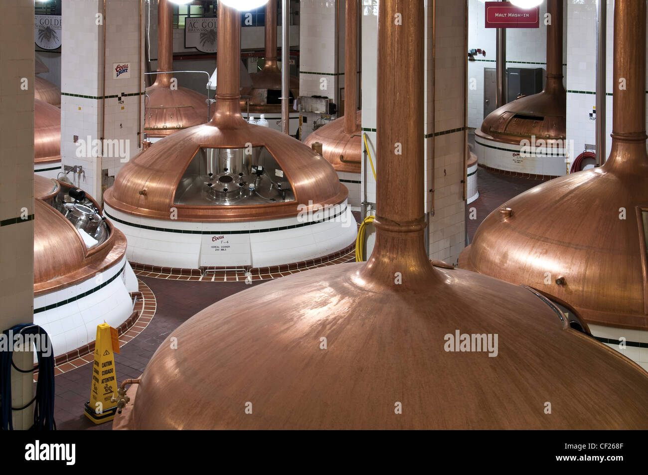 Immersion Copper Mash Tun