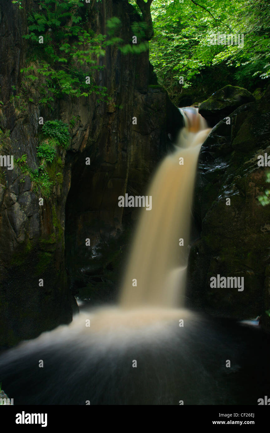 The fast flowing Hollybush Spout waterfall near Ingleton Stock Photo ...