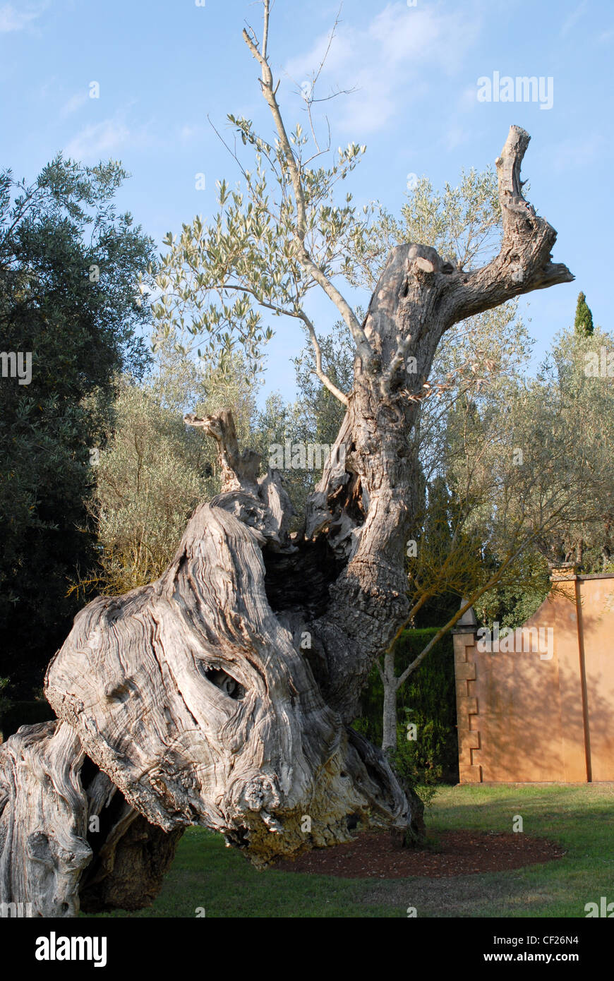 An ancient mill in Mallorca Built on the side of an aquaduct this home ...