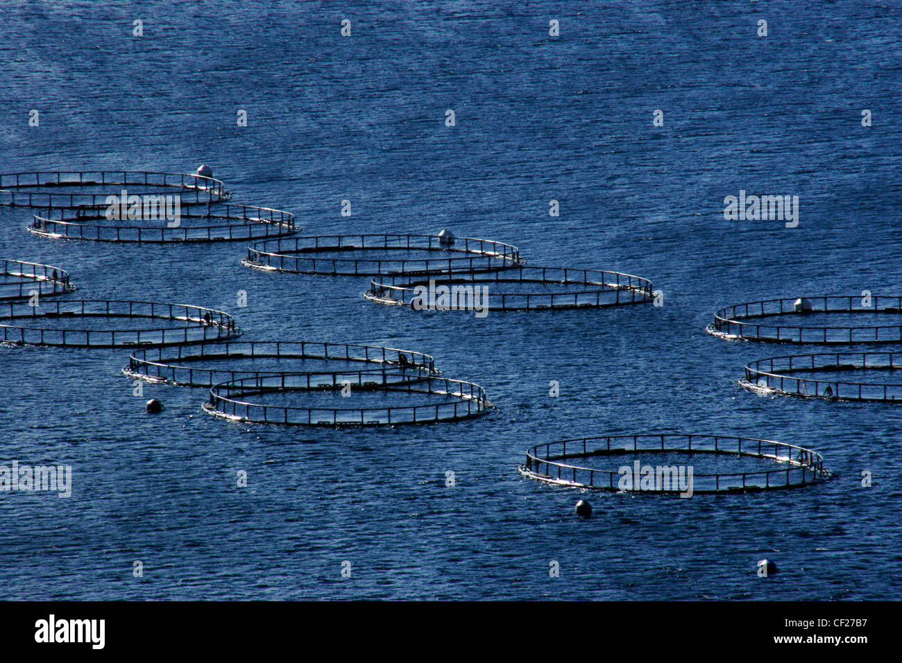 Fish farm in sea hi-res stock photography and images - Alamy